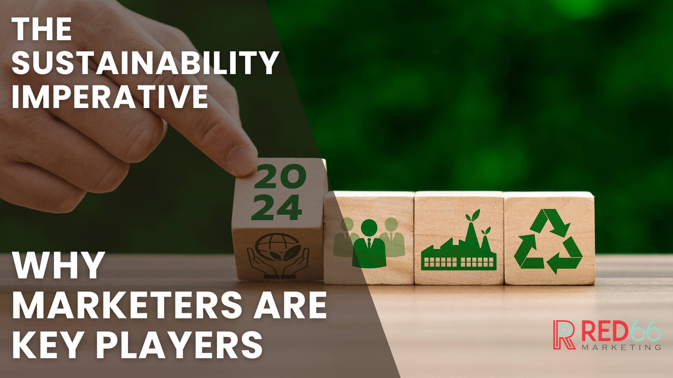 What is Sustainable Marketing? A Marketer’s Role in Sustainability